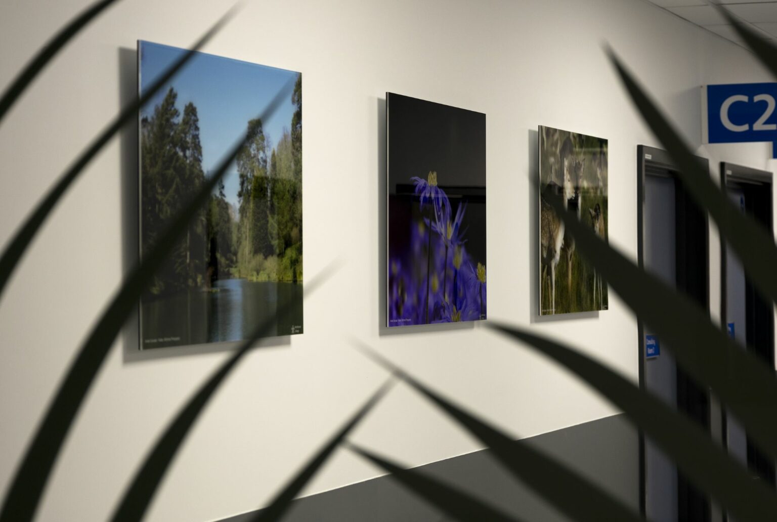 BA Photography Students artwork used in Worthing Hospital | Northbrook ...